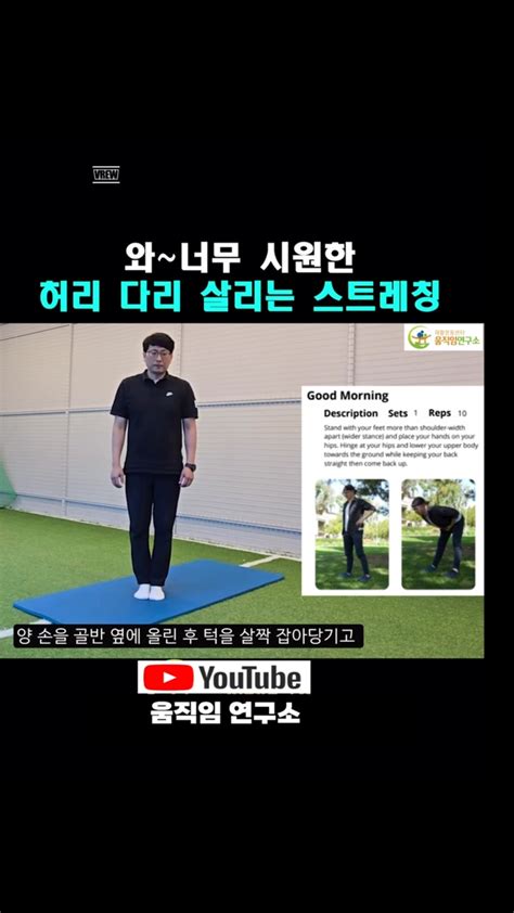 공식계정유튜브 움직임연구소 허리통증에 좋은 햄스트링스트레칭 운동법 허리통증 환자들은 치료 효과를 극대화하기위해 햄스트링스트레칭 운동과 함께 허리 코어 근력 강화