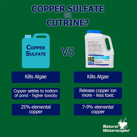 How Much Copper Sulfate To Use In The Pond Perfect Dosage Guide