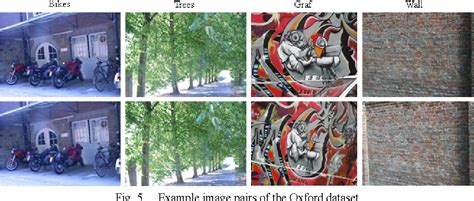 figure 1 from color orthogonal local binary patterns combination for image region description