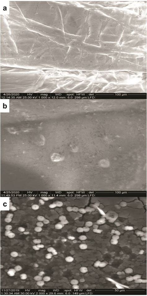 SEM Images Of A Pure Cs B Cu Loaded Cs And C Cu Loaded Cs H S Download Scientific Diagram