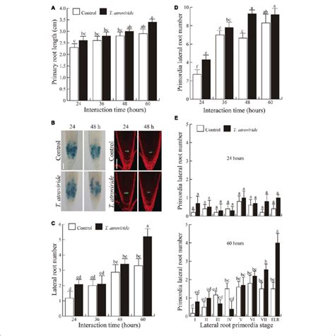 Early Responses Of Arabidopsis To Trichoderma Atroviride Arabidopsis