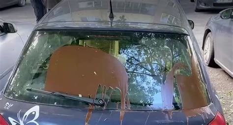 Кола осъмна залята с блажна боя в столичния кв Младост 1