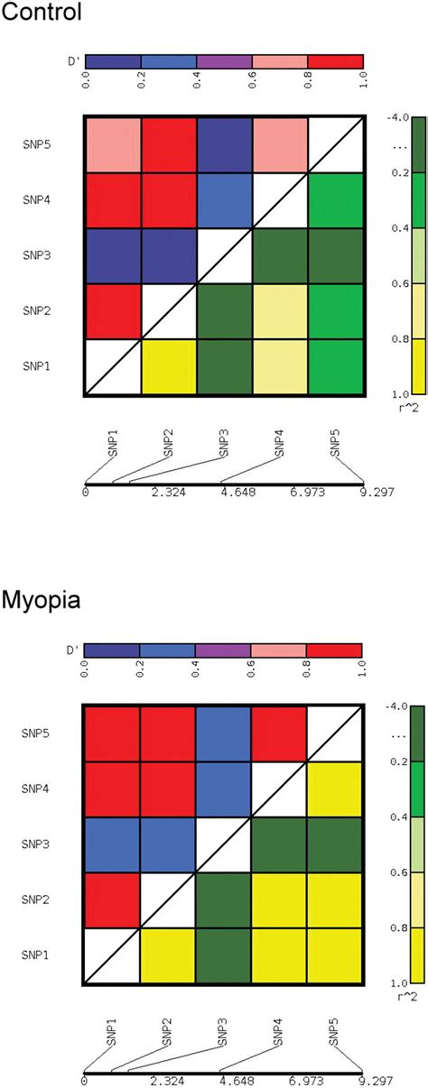 Pair Wise Ld Measures Of D And R 2 For Snps Of The Lum Locus Scales