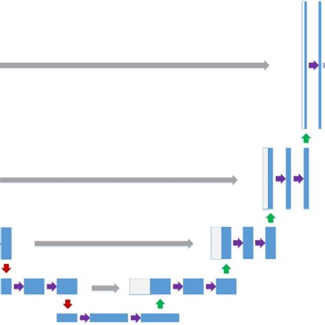 The Comparison Of The U Net Segmentation Result And The Annotation