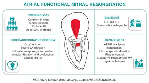 Atrial Functional Mitral Regurgitation Was This New Entity Needed