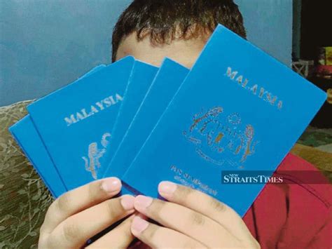 Queensland39s New Border Pass Process Aims To Make Paddington Report