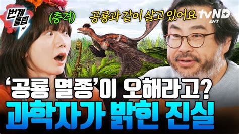 [ 알쓸별잡 지중해] 우리는 지금도 공룡과 함께 살고 있어요 과학자가 알려주는 공룡에 대한 오해와 진실🦖 번개클립 Youtube