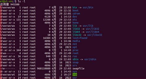 Linux 文件系统与常用操作指令详解 Csdn博客