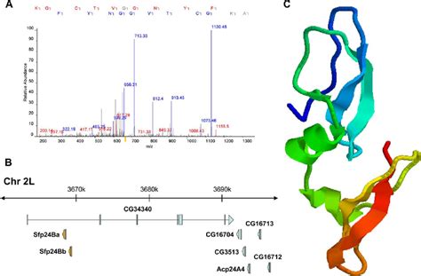 Discovery Of Unannotated Genes In D Melanogaster Using A Sixreading Download Scientific