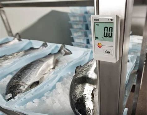 Digital Testo T Mini Temperature Data Logger PDF X X