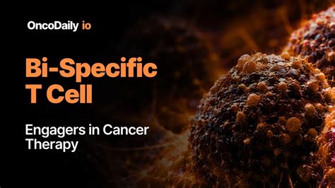 Bi Specific T Cell Engagers In Cancer Therapy