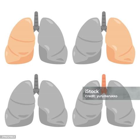Lung Structure Illustration Set 1 Stock Illustration Download Image Now Anatomy Biomedical