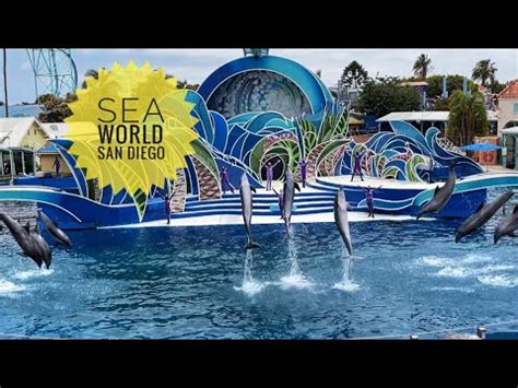 Seaworld San Diego Dolphin Full Show Dolphin Days Youtube