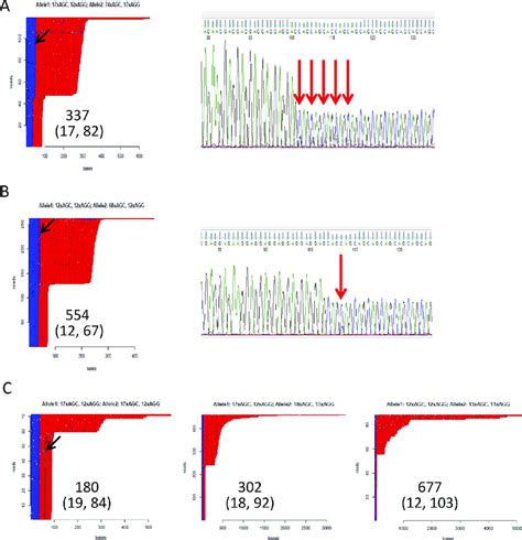 Htt Repeat Analysis Plots For Refecd A Sample 337 Contains An