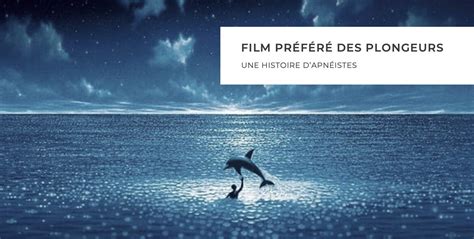 Plongée Et Apnée 7 Bonnes Raisons De Les Associer Different Dive