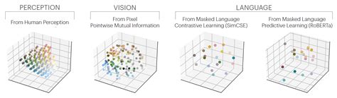 The Platonic Representation Hypothesis Kaminos Blog