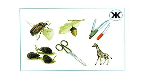 Обследование детей дошкольного возраста презентация онлайн