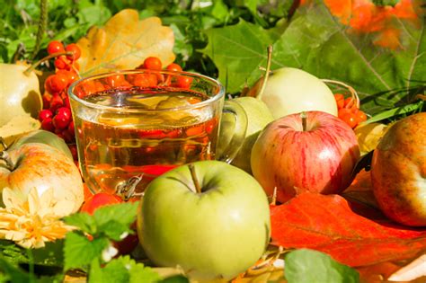 단풍 마가 목 열매와 익은 사과의 배경에서 만든 애플 주스 한 잔 0명에 대한 스톡 사진 및 기타 이미지 0명 가을 감기와 독감 Istock