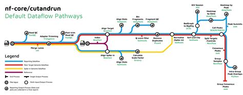 Cutandrun Introduction