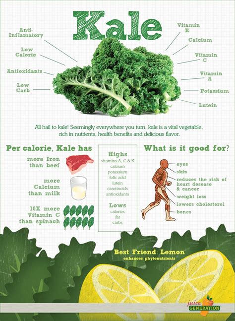 Lilias Healthbook Infographic Benefits Of Kale