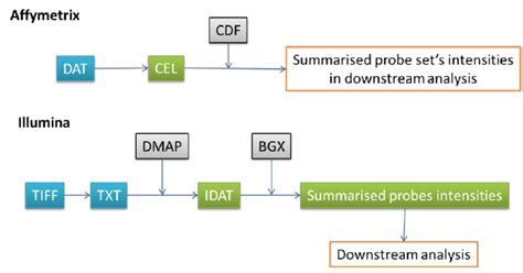 affymetrix and illumina source data files download scientific diagram