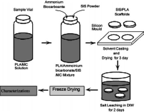 Schematic Diagram Of The Solvent Castingsalt Leaching Method To Download Scientific Diagram