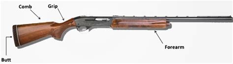 NRA Women | Firearm Basics: Parts of a Gun Stock