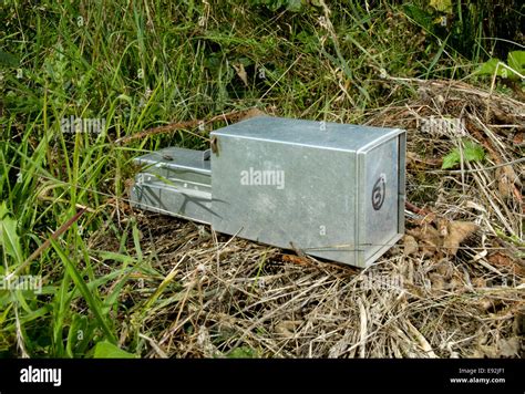 Mammal Traps