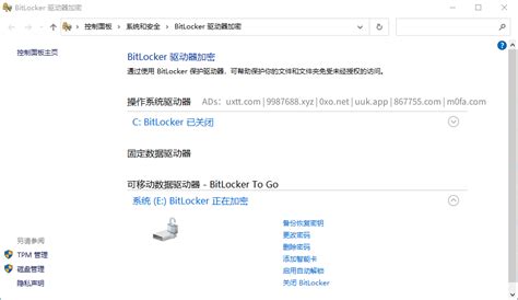 电脑开机须输入bitlocker密钥才能进入系统怎么办？ 歲月留聲