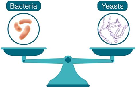 Scalp Health Solutions Trichoderm Black Series