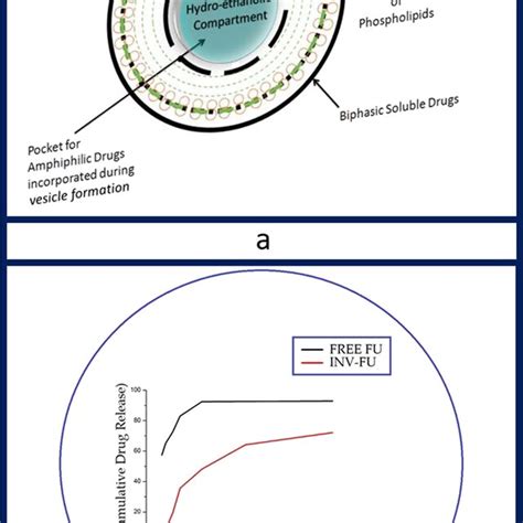 A Atr Ftir Spectra Of 5 Fu Pure Inv Blank Nanoformulation Nf And Download Scientific