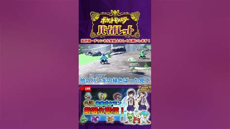 【ポケモンsv】色違いテツノイバラの命を助けた男 Shorts Youtube