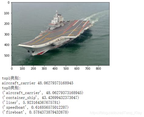 python与机器学习（七）下——torchvision预训练模型测试真实图像分类 图像分类预测图片时获取前五个概率最高的类别索引 csdn博客