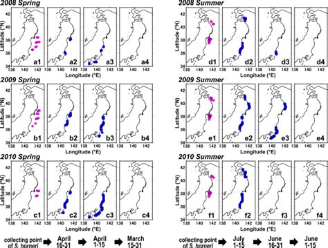 Revealing The Deposition Of Macrophytes Transported Offshore Evidence