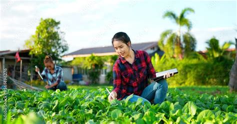 Babe Female Agricultural Wear Plaid Shirt Use Digital Pen And Tablet While Working In Organic