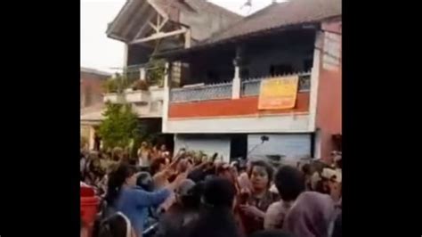 Kumpulan Berita Buntut Kasus Sapi Kurban Terbaru Dan Terkini
