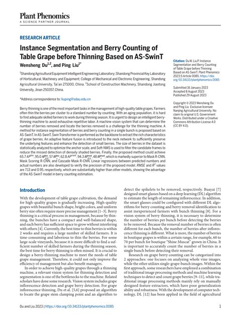 (PDF) Instance Segmentation and Berry Counting of Table Grape before Thinning Based on AS-SwinT
