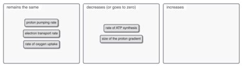 lecture 10 post class questions adaptive follow up flashcards quizlet