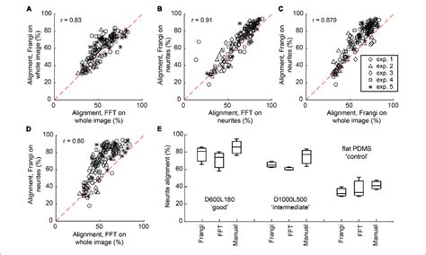 Comparison Between Frangi Vesselness Fft And Manual Neurite Download Scientific Diagram