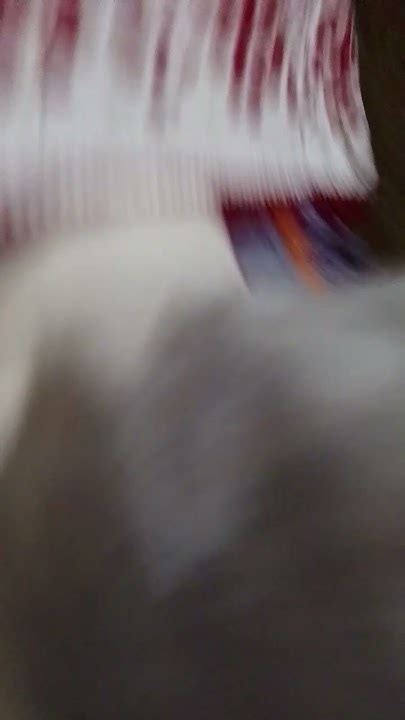 February 15 2024 Youtube