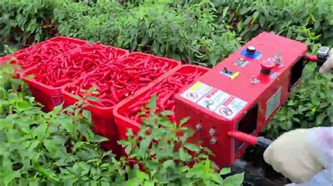 외 발 궤도 운반 차 헐 작물 속을 마구 누비고 다니 내 Youtube