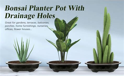 Eringogo 2 Pcs Bonsai Training Pots 17 Bonsai Plants