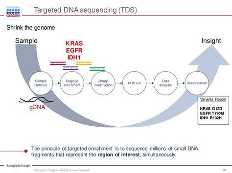advanced ngs data analysis and interpretation bgw iva ngs tech over…