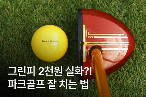 파크골프 잘 치는 방법 대공개 그린피 2천원에 골프 칠 수 있는 방법은