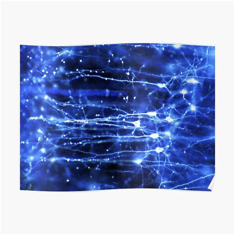 Human Brain Synapses Electron Microscope Photo Premium Matte Vertical
