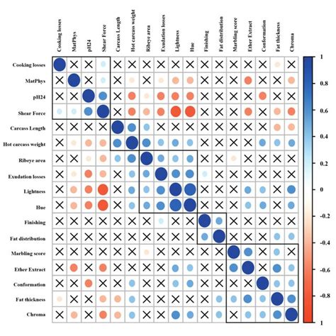 Correlations According To Clusters Between Qualitative And