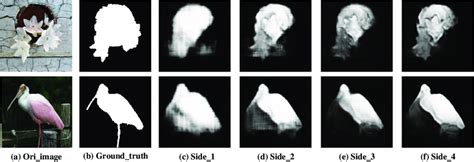 Saliency Maps Generated From Various Side Outputs Download
