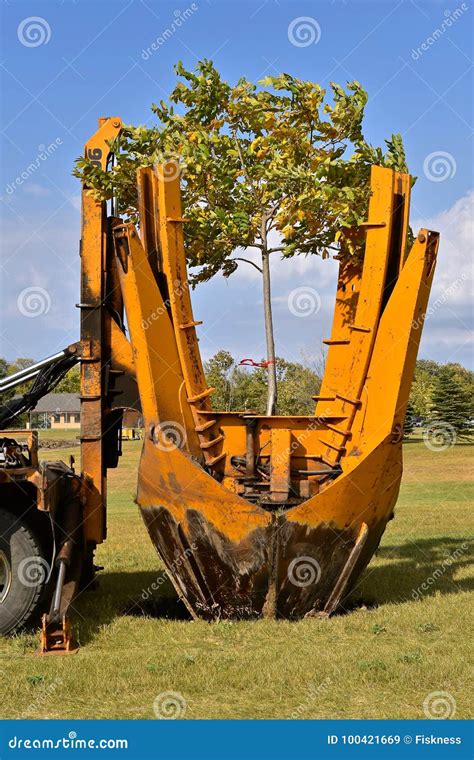 Tree Being Transplanting By A Moving Machine Stock Image Image Of Mounted Digging 100421669