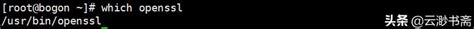 Linux Centos升级openssl 全琪俊 博客园