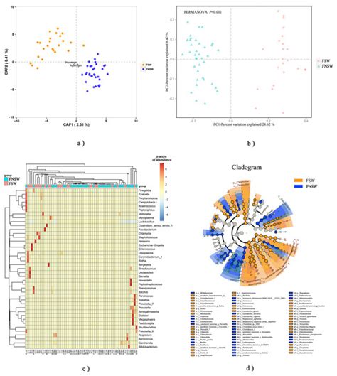 Characteristics Of The Vaginal Microbiome In Cross Border Female Sex Workers In China A Case